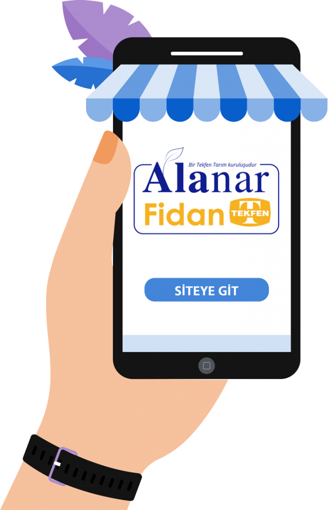 Meyve Fidanı - Alanar